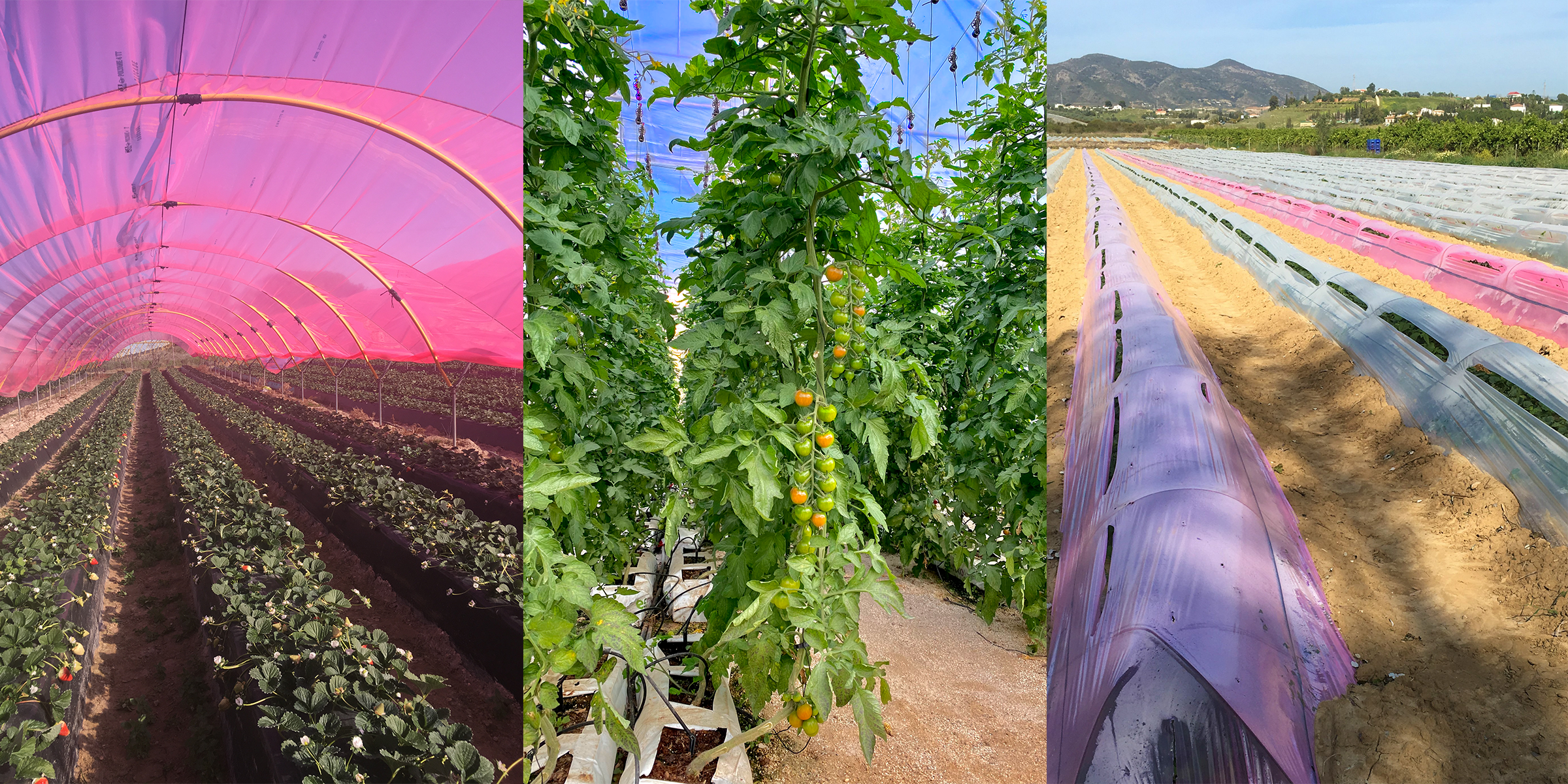 Home - Cascade Light Technologies