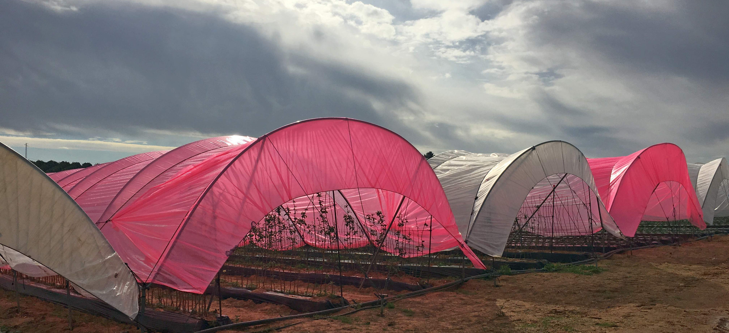 Home - Cascade Light Technologies