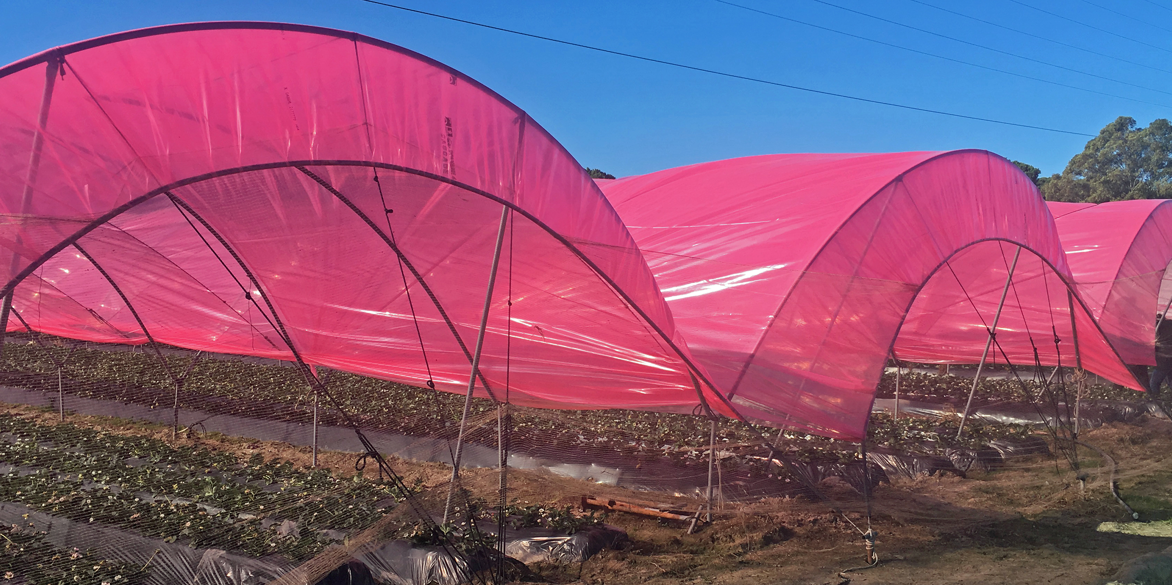 Home - Cascade Light Technologies